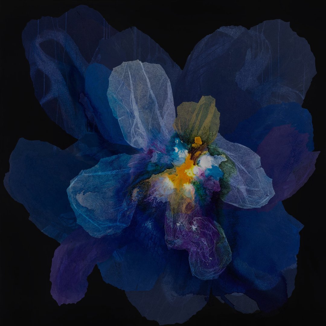 Iris – Antoinette Ferwerda