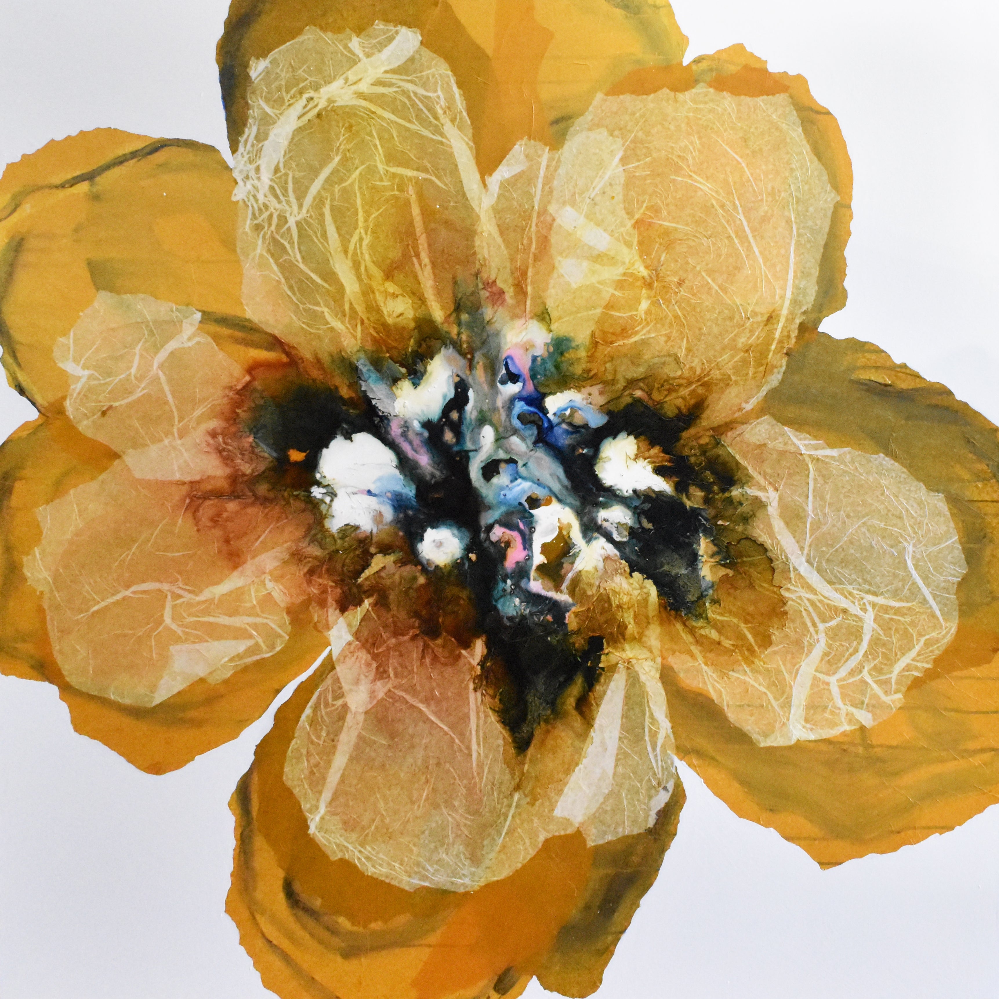 Sunburst Champagne Poppy – Antoinette Ferwerda