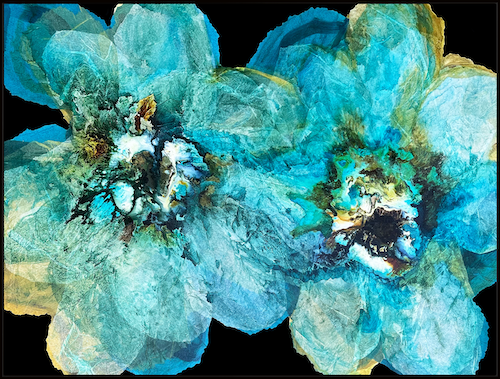 Delicate – Antoinette Ferwerda